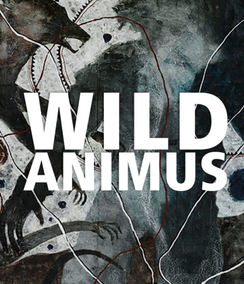 TooFar Media | Discover A Multimedia Storytelling Experience for the Senses