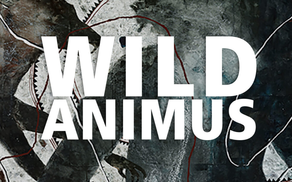 TooFar Media | Discover A Multimedia Storytelling Experience for the Senses